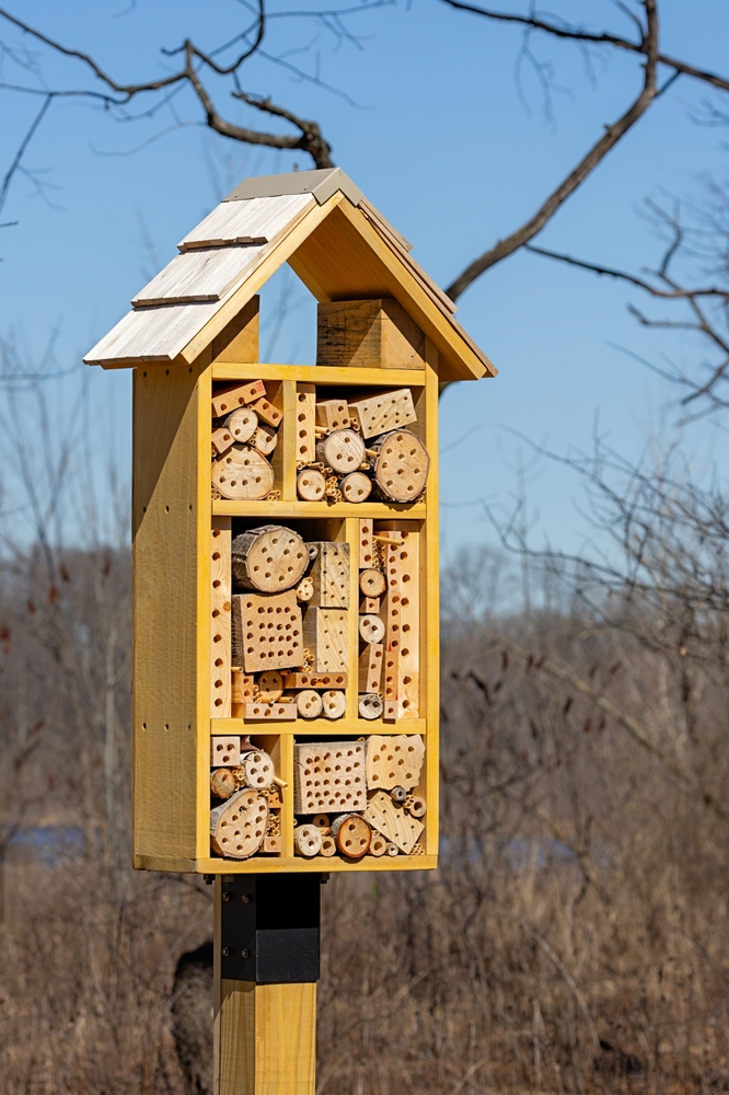 Beneficial Insects – Royal Creations Landscaping