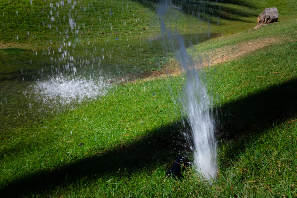 Watering for Summer - Royal Creations Architectural Landscaping